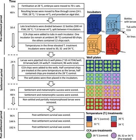 A Flow Diagram Summarising The Methodology And Accompanying Diagrams Download Scientific