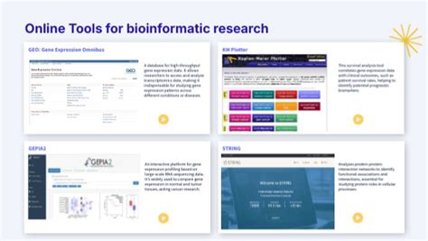 Online Tools For Bioinformatic Research Genially