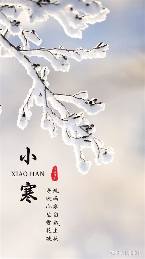 腊月十四 小寒30张令小编惊艳的小寒海报 附文案 知乎