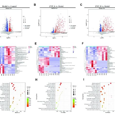 Volcano Plot Heat Map And Bubble Diagrams Of The Control Model And