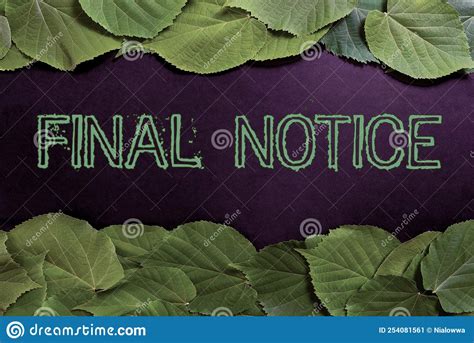 Conceptual Display Final Notice Business Concept Formal Declaration Or Warning That Action Will