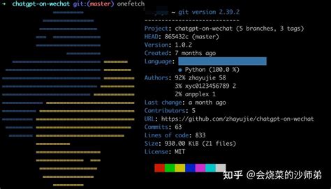 这款 git 信息可视化工具，你一定要试试！ 知乎