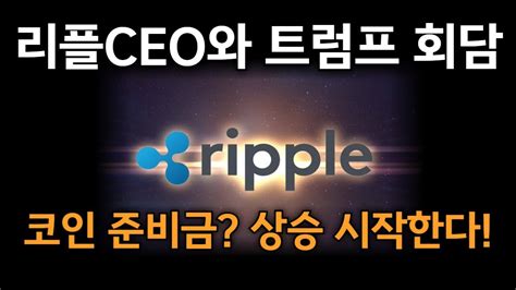리플xrp 리플ceo와 트럼프 회담 코인 준비금 상승 준비한다 Youtube