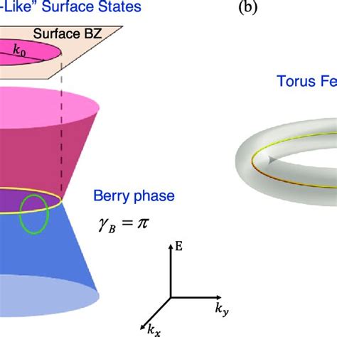 A Torus Shaped Fermi Surface With Major Radius K 0 Minor Radius κ