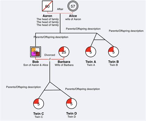 Genogram Identical Twin Layout Issue Gojs Northwoods Software