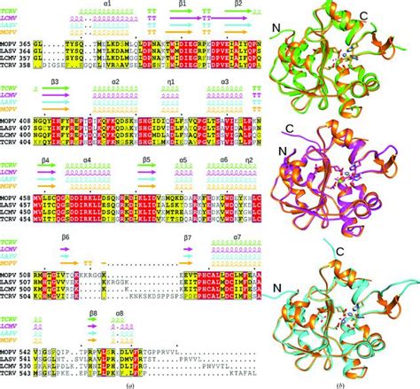 IUCr Activity Inhibition And Crystal Polymorphism Induced By Active Site Metal Swapping