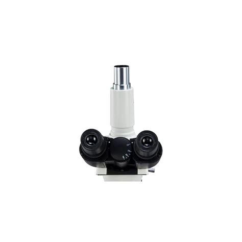 Buy Omax 40x 2000x Trinocular Phase Contrast Compound Microscope With