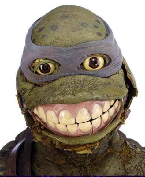 Ninja Turtle Meme Face 54 Koleksi Gambar