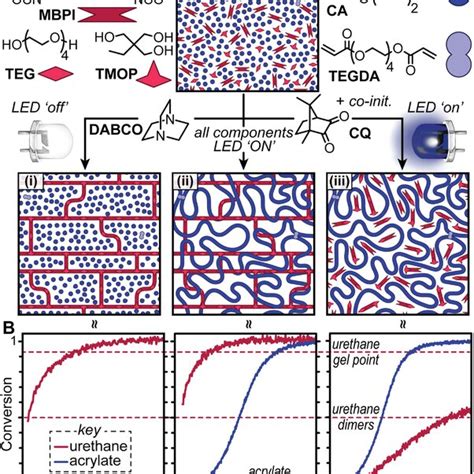 Overview Of Materials Conditions And Polymerization Kinetics For Download Scientific Diagram