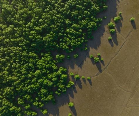 Sustainability Data And Analytics