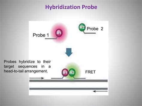 Study Of Microarray Genomic Study Ppt