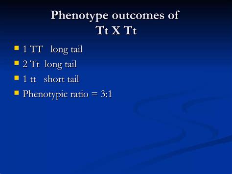 Monohybrid Cross Complete Dominance Ppt