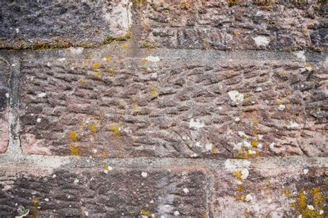 Rough Decayed Sandstone Wall Texture Stock Image Image Of Color