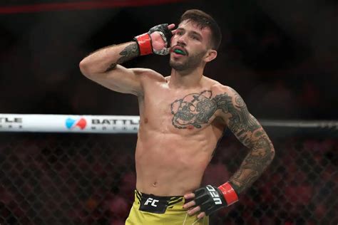 Ufc Vegas 91 Card Completo Como Assistir E Palpites