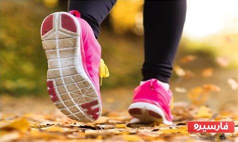 اصول نرمش و گرم کردن بدن قبل از ورزش آموزش تصویری