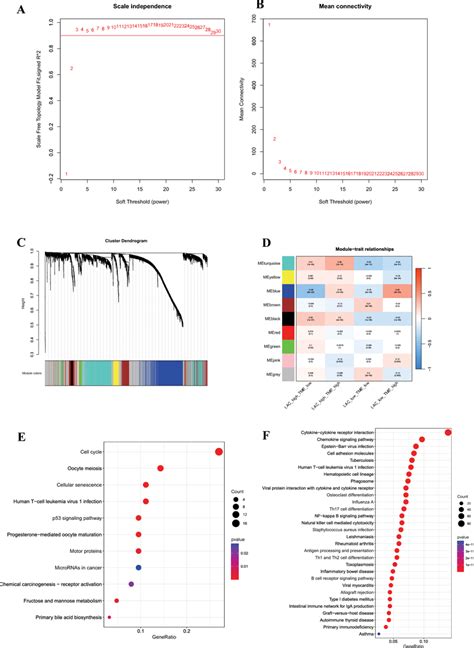 Weighted Correlation Network Analysis A Set The Correlation