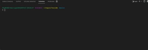 Font Rendering Error In Terminal When First Open On Macos · Issue 132425 · Microsoftvscode