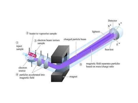 Basic Principles Of Mass Spectrometry Ppt