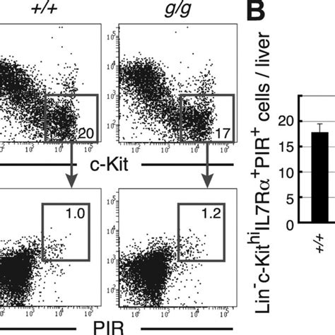 Development Of T Restricted Progenitors In The E12 5 Fetal Liver A Download Scientific