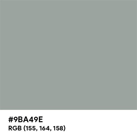 Dark Ash Color Hex Code Is 9ba49e