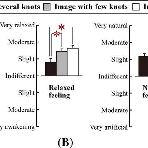 Subjective Evaluations Of Participants Based On The Modified Semantic