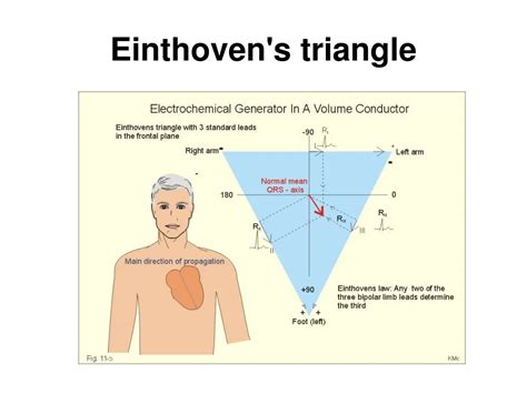 Ppt Electric Field Powerpoint Presentation Free Download Id 9656111