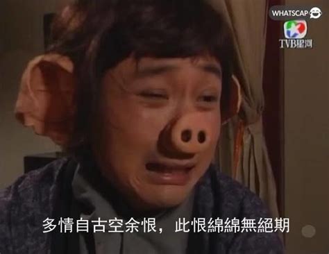 多情自古空餘恨此恨綿綿無絕期 Whatscap