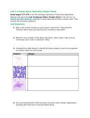 Lab 3 4 Simple Stain Docx Lab 3 4 Simple Stain Laboratory Report Sheet Read Pages 177 179 In