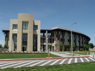 Contact Department Of Psychology