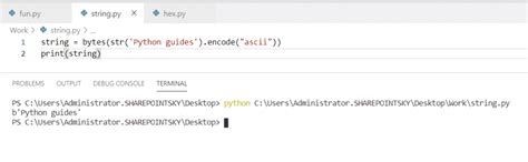 Converting A Hex String Representation To Actual Bytes In Python Wzxenz