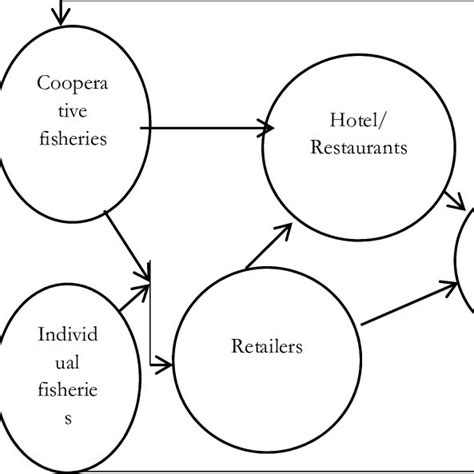Fish Value Chain Compiled By The Authors Download Scientific Diagram
