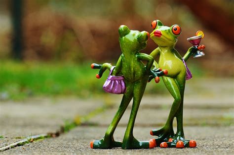 Frogs Party Cocktail Free Photo On Pixabay