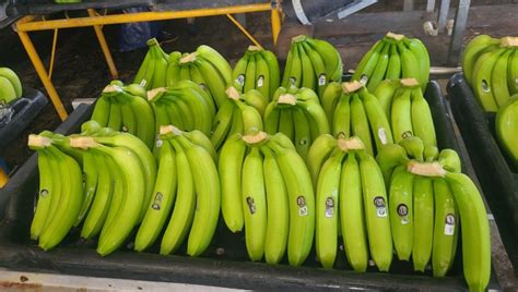 How Long Does It Take To Resolve A Cargo Claim Recoupex