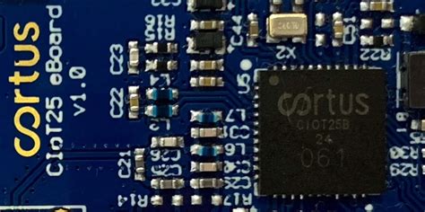 IOT Cortus