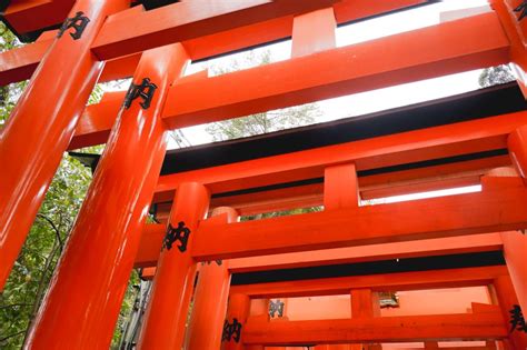 내가 사랑한 도시 교토 [후시미 이나리 신사] 두피디아 여행기