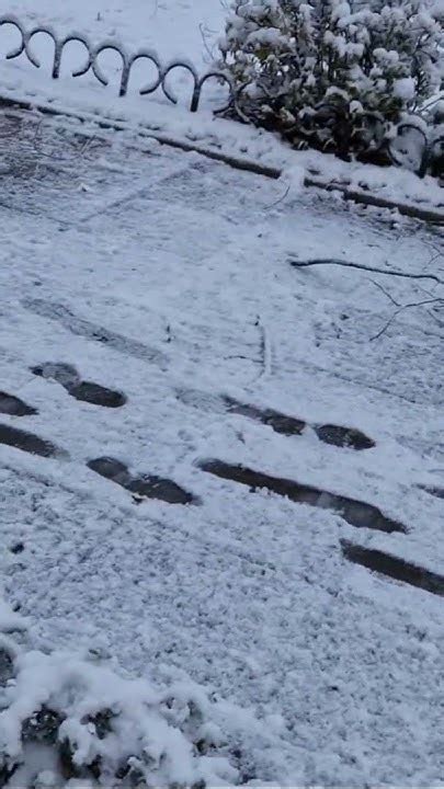 눈이 내리는데 선물present 나는 파킨슨병 환자 생로병사 비밀 조금숙 세바시 난치병 간암 고관절 지금 내삶이 끝났다고 느껴질때 춤바람 기적