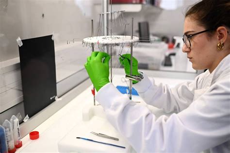 Japan Scientists Make Smiling Robot With Living Skin The Manila Times