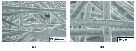Shows The Morphologies Of The Sio2ptfepeinpps Composite Filter