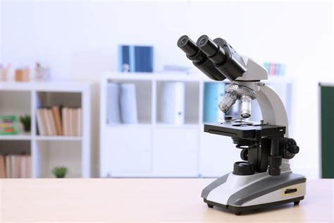 Xantelasma Palpebrale