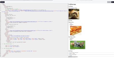 Step 56paso 56 Cat Photo Html Css The Freecodecamp Forum