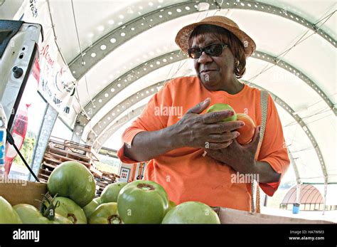 A Usda Program Focuses On Rural Development Enhancing Agriculture And Economic Prosperity In