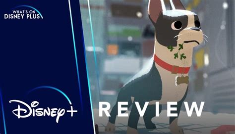 Feast Retro Review Whats On Disney Plus