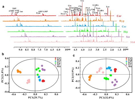 Nmr Based Metabolomics Analysis A Typical 600 Mhz ¹h Nmr Spectra Of Download Scientific