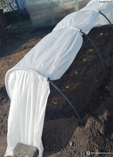 Парник Агроном - «Мини теплица» | отзывы