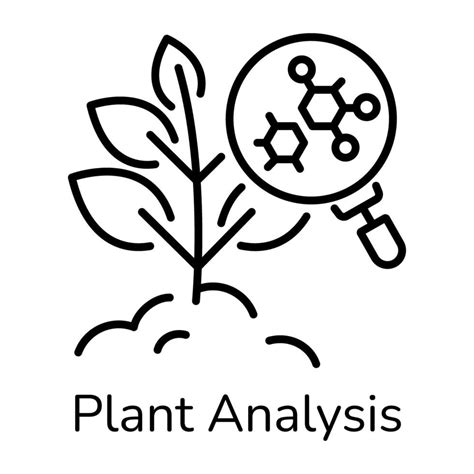 Trendy Plant Analysis 46420741 Vector Art At Vecteezy