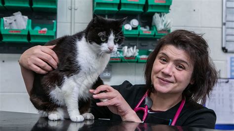 Animal Emergency Where To Watch And Stream Online Reelgood