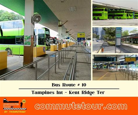 Bus 10 Route Map Schedule And Bus Stops Singapore