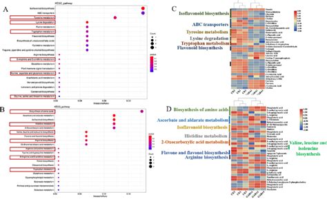 Enrichment Map Of Differential Metabolite In The Positive A And