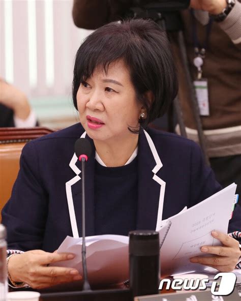 국감 질의하는 손혜원 의원 뉴스1