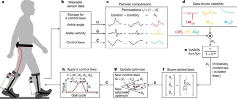 Data Driven Exoskeleton Optimization We Used Data From Laboratory Tests